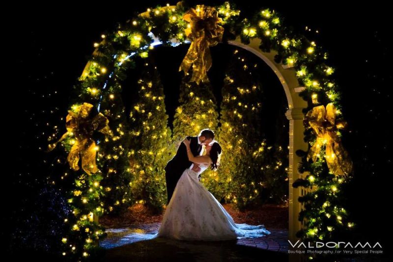 Christmas Decor LED Lights Make Your Holiday Shine Bright ...