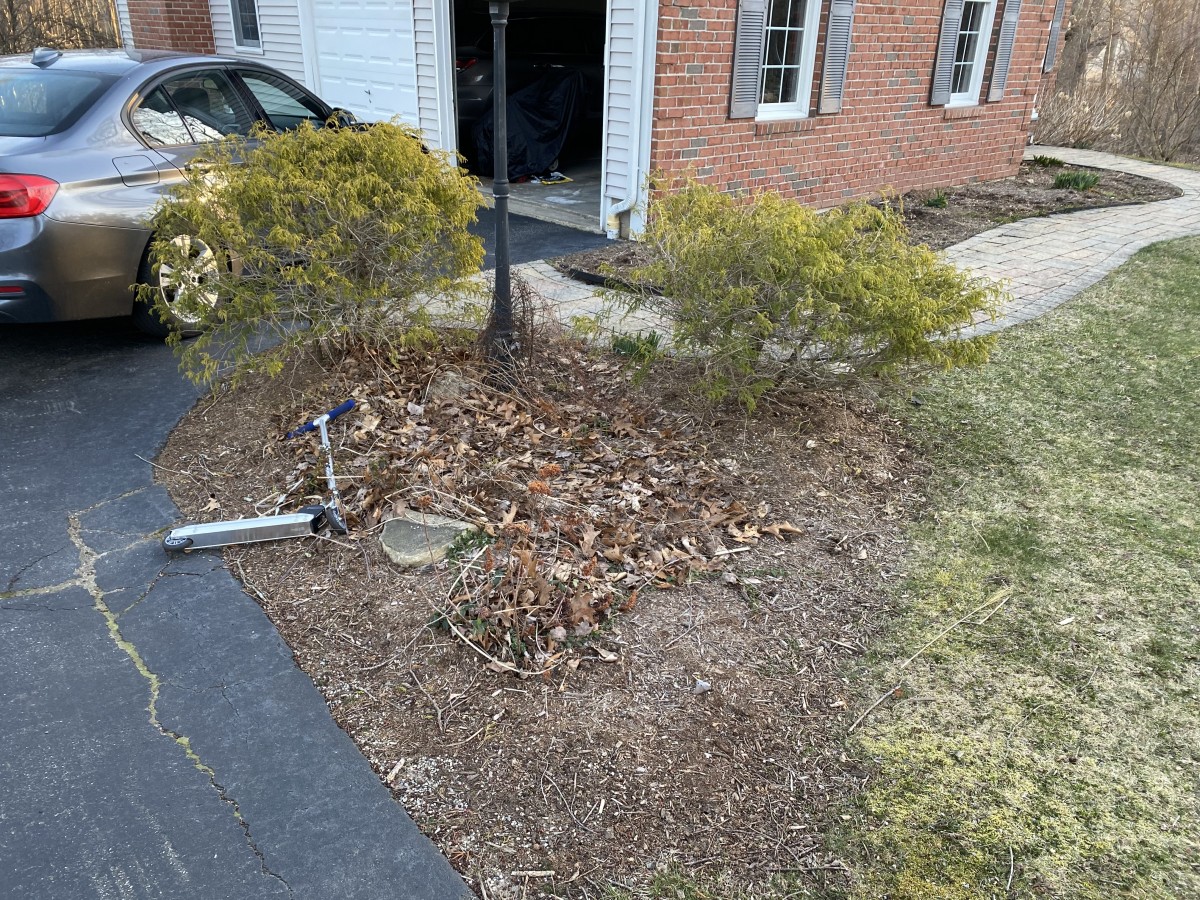 Top 10 Landscaping Mistakes - Perfectscapes.com